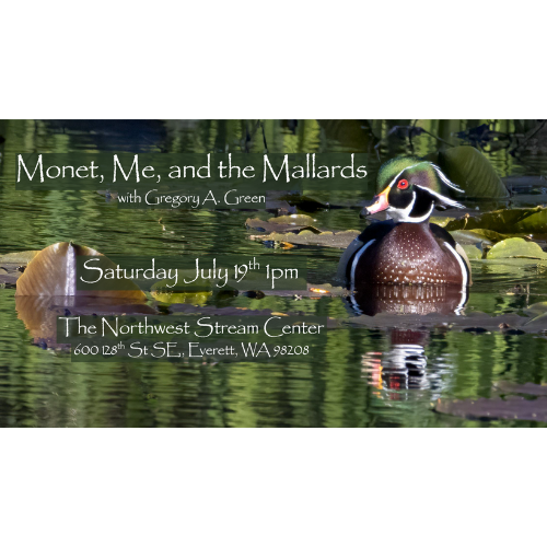 Monet, Me, and the Mallards | Adopt A Stream Foundation