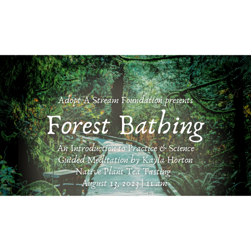SKA Event: Forest Bathing | Adopt A Stream Foundation